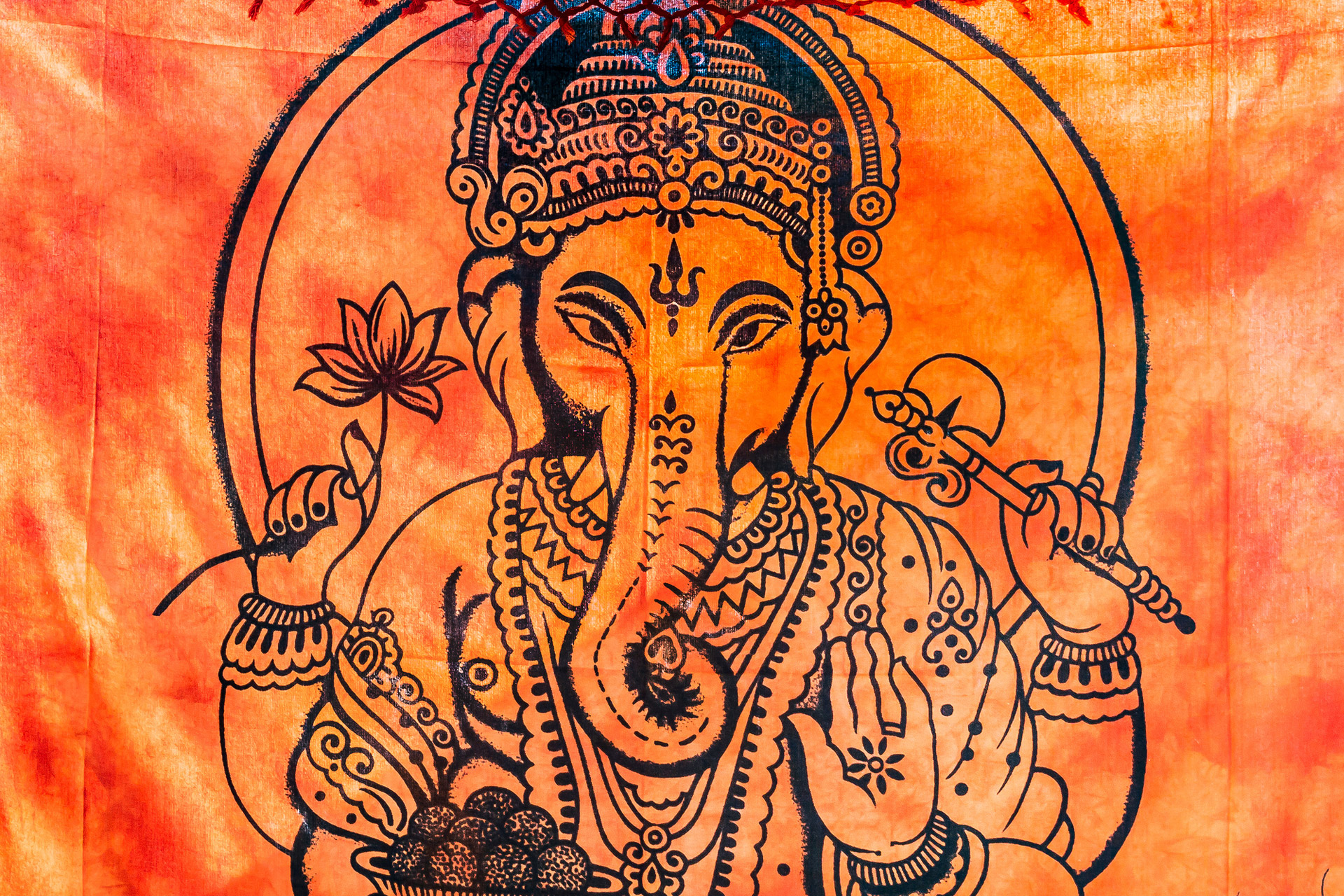 Contacts / Diffusion / Distribution - Blacklephant Éditions